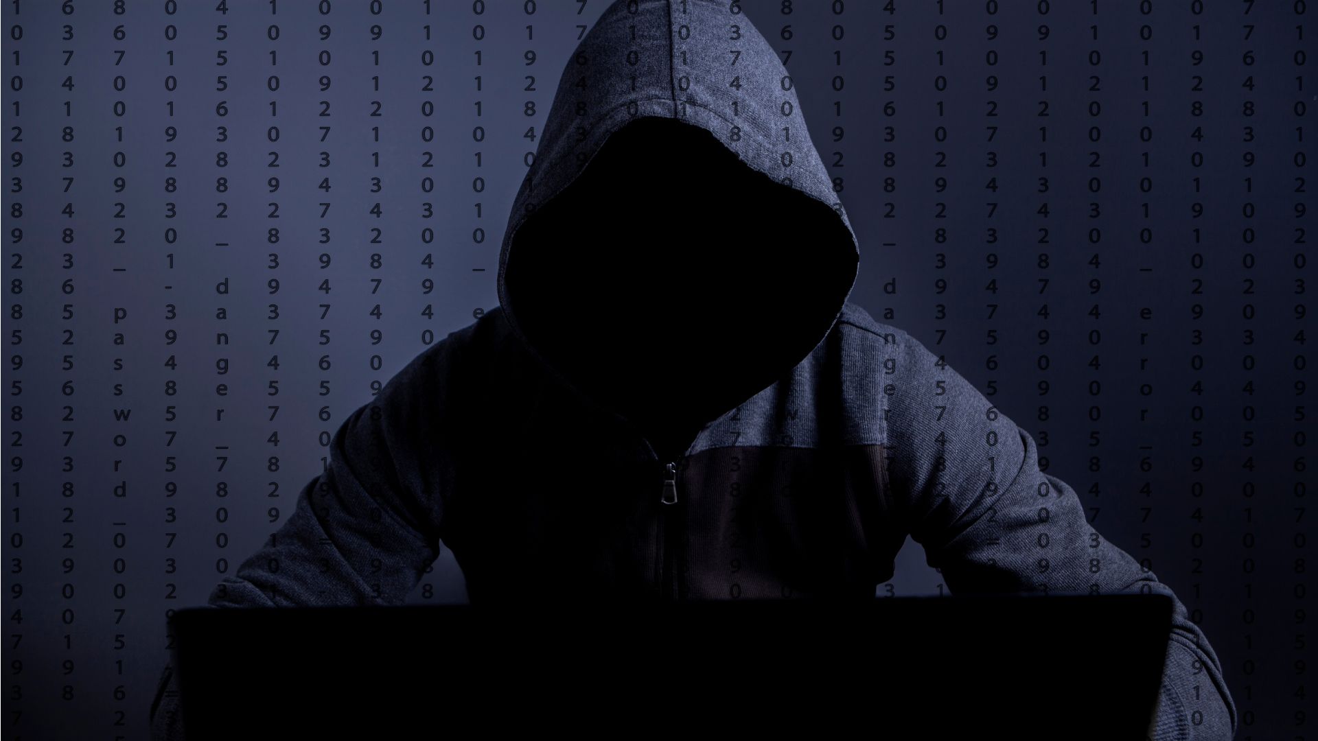 18 mois de prison pour le hacker des stars - Start In Blockchain