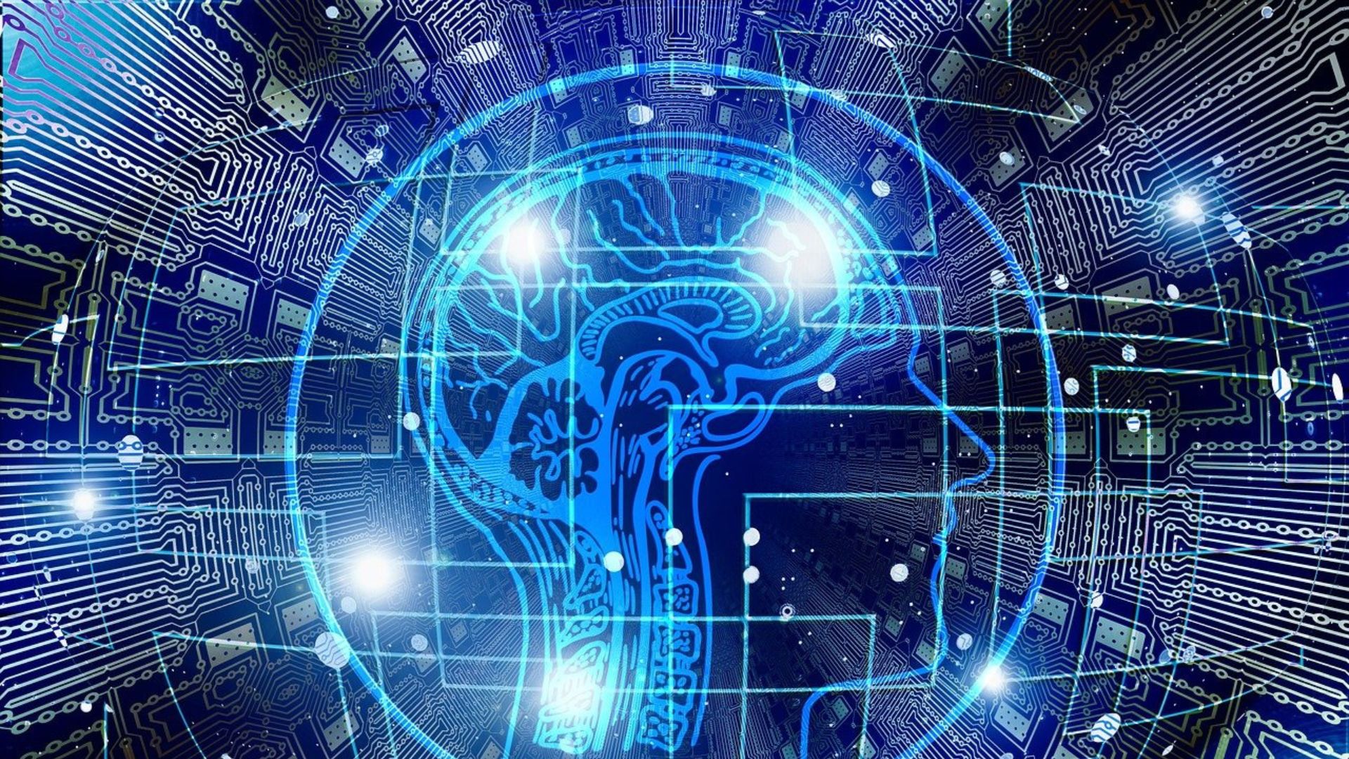 Brainwallet : tout comprendre pour l'utiliser - Start In Blockchain